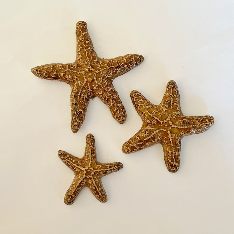 Decorative Starfish - Etsy
