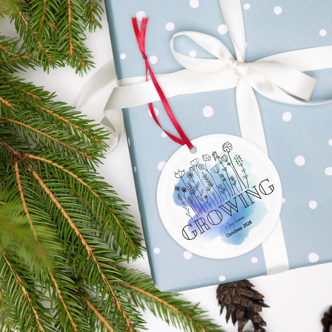 Growing a Tiny Human Acrylic Ornament-blue - Etsy