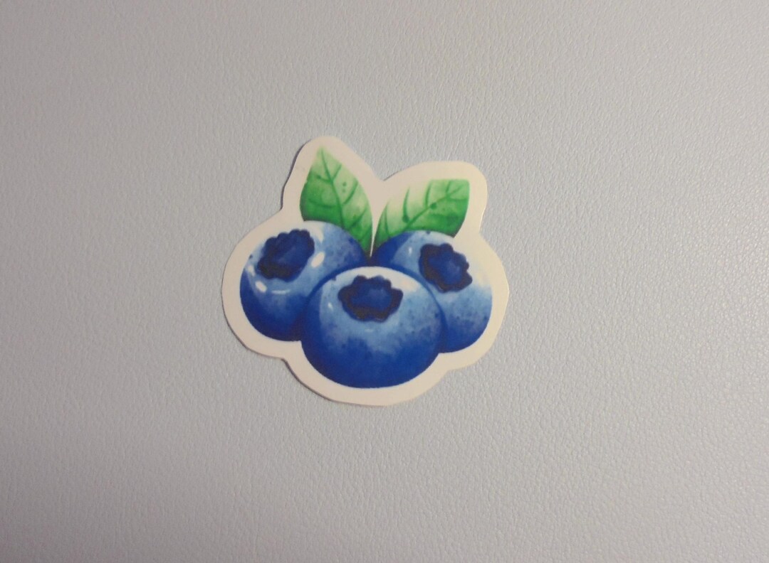 Blueberries Sticker Decal - Etsy