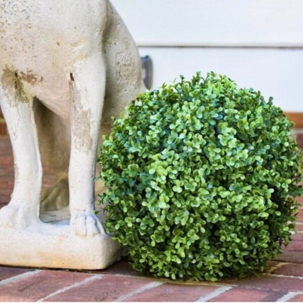 Faux Boxwood - Etsy