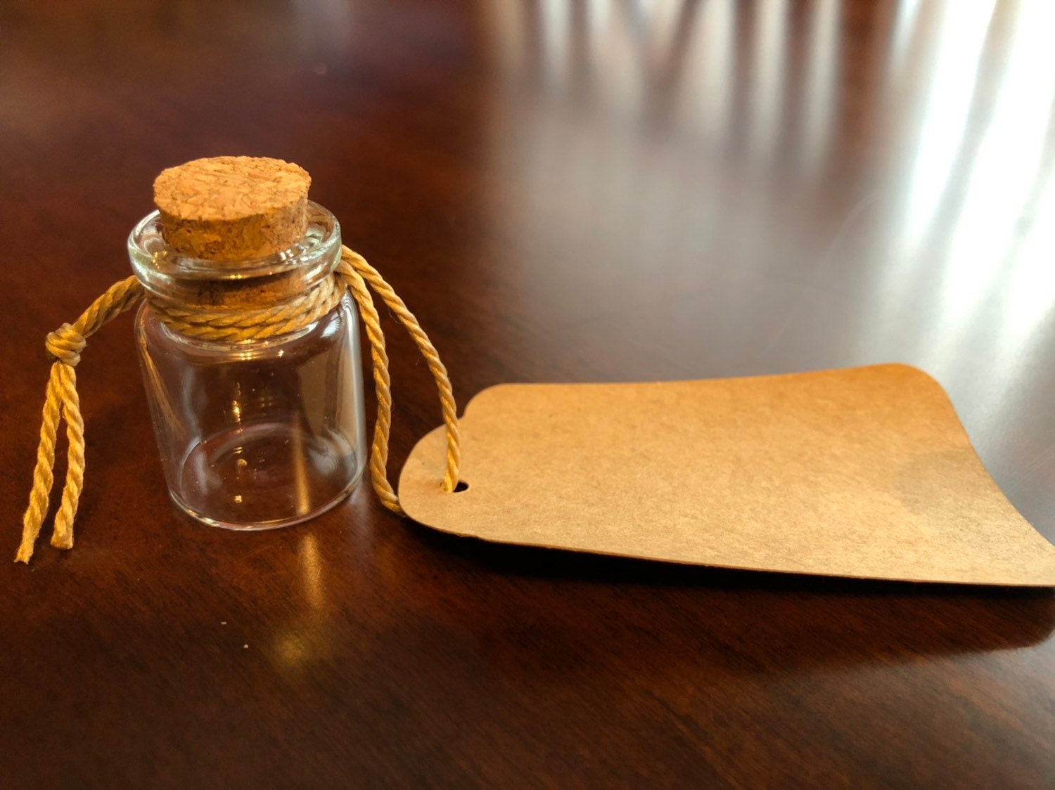 Adopt Felicity the Frosted Donut She Needs a Home!! Dessert, Miniature ...