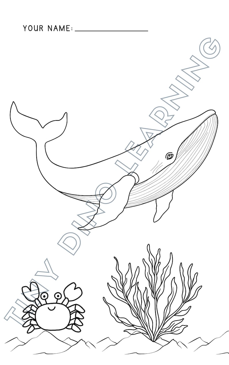 Under the Sea Colouring Book PRINTABLE - Etsy Canada