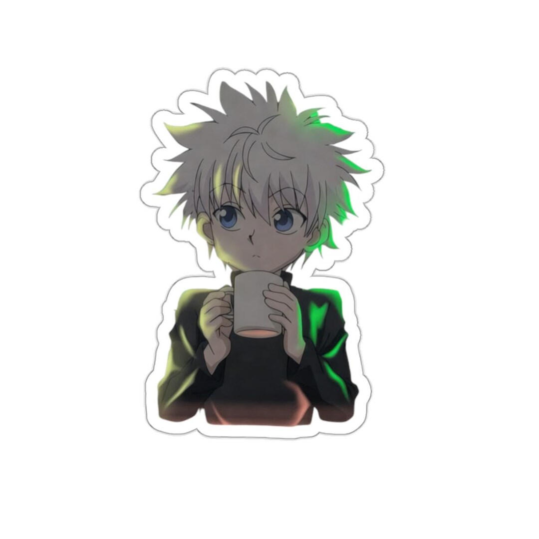 Killua Zoldyck Friend of Gon Stickers, Hunter X Hunter Anime Decals ...