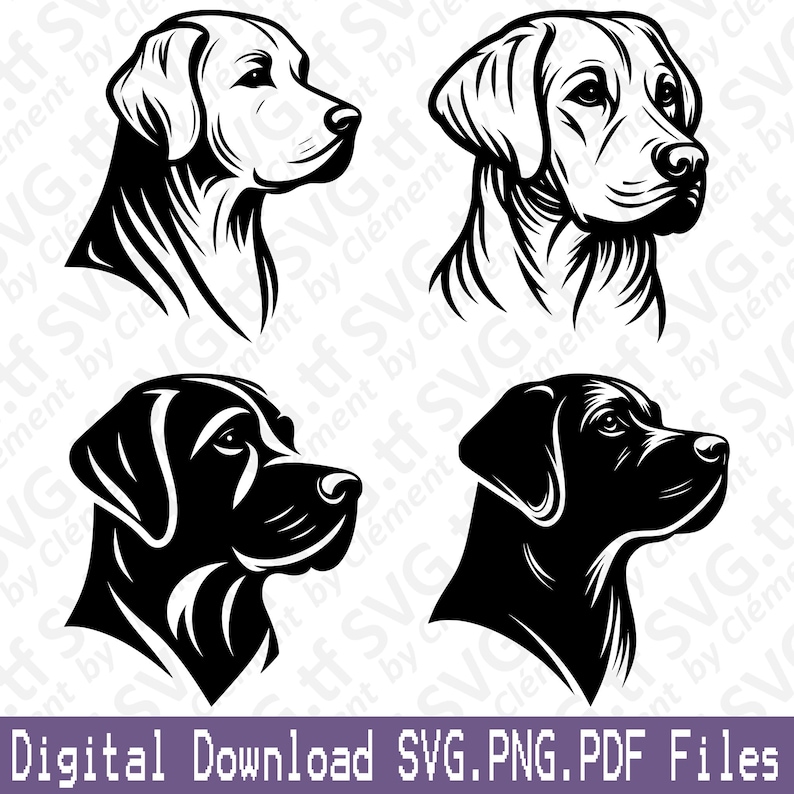 Labrador Retriever Head. SVG PNG PDF Files. Cute Dog Sitting Lying ...
