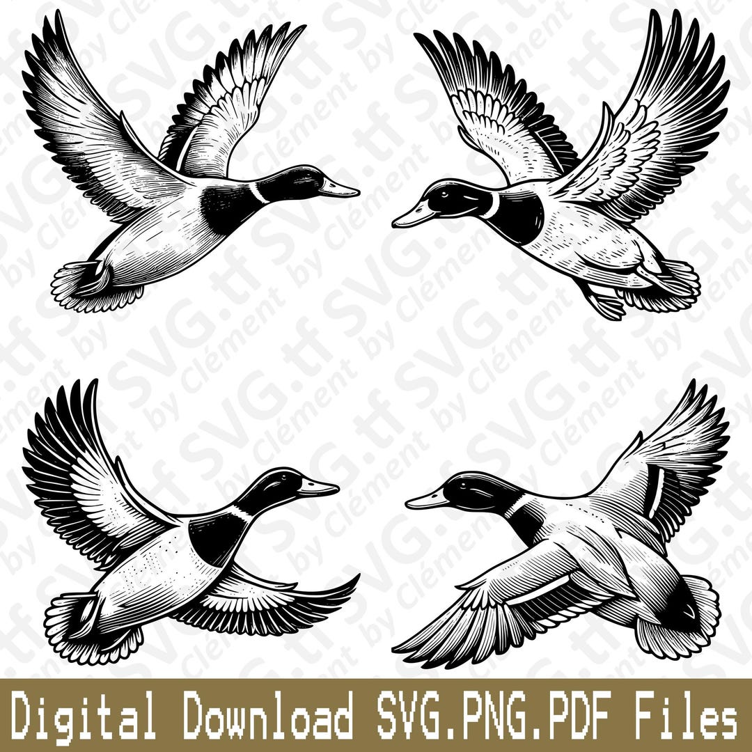 Flying Mallard Duck. SVG PNG PDF Files. Walking Lying Bird Lake River ...