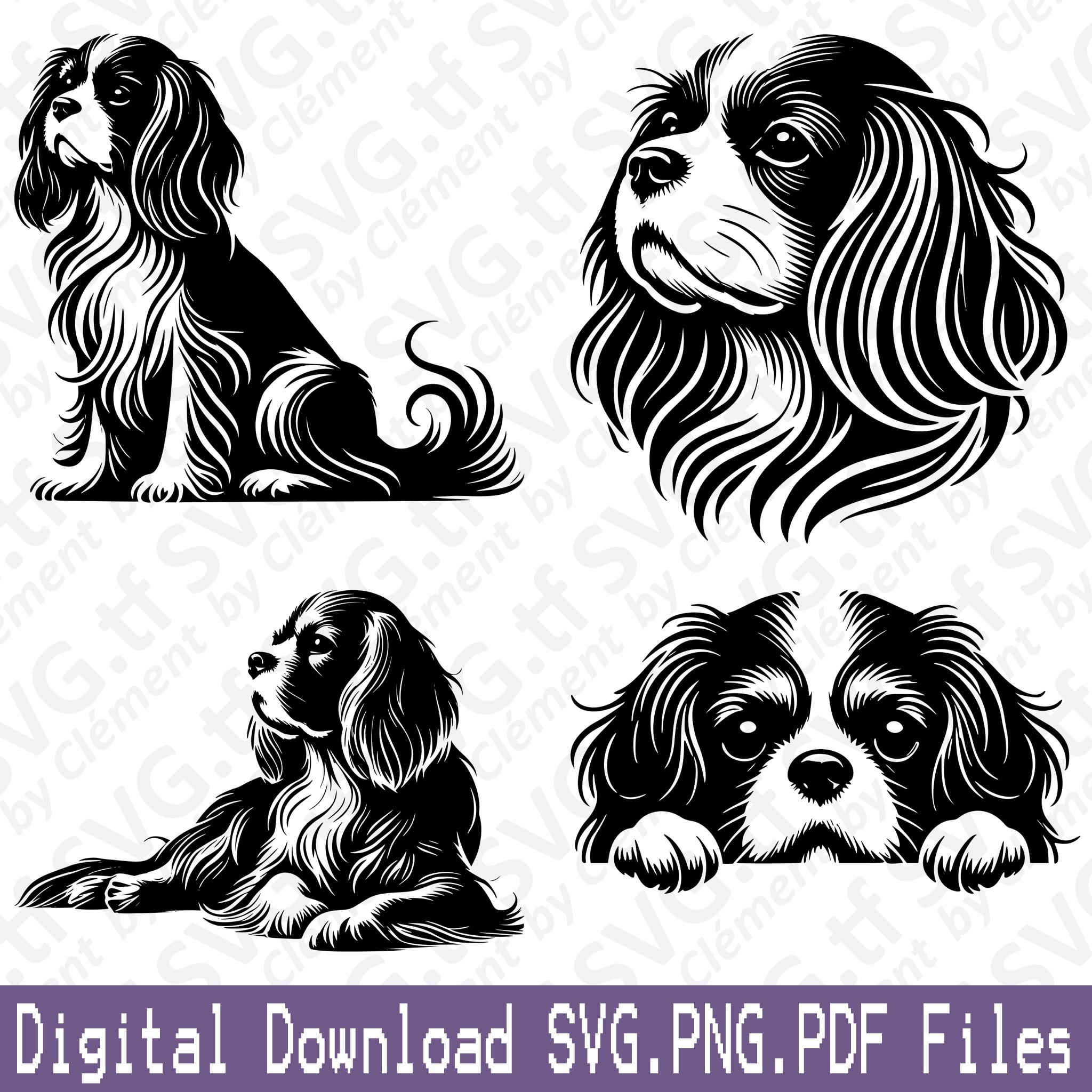 Cavalier King Charles Spaniel. SVG PNG PDF Files. Dog Sitting Lying ...