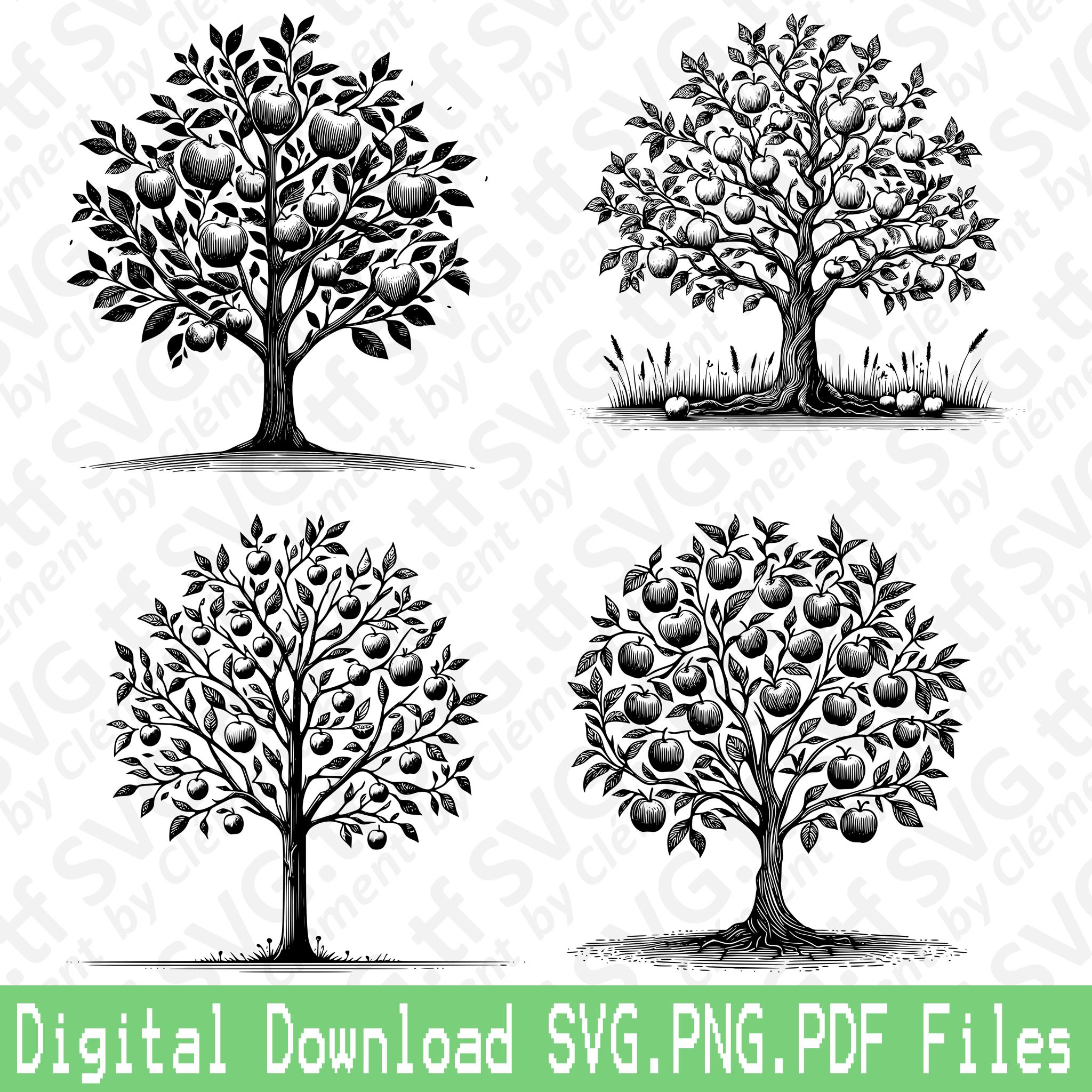 Apple Tree. SVG PNG PDF Files. Garden Nature Fruit Peach Apricot Orange ...