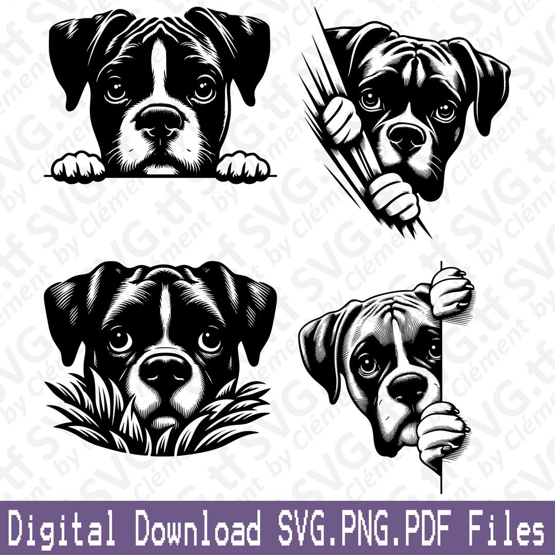 Peeking Boxer Dog. SVG PNG PDF Files. Cute Sitting Lying Head Vector ...