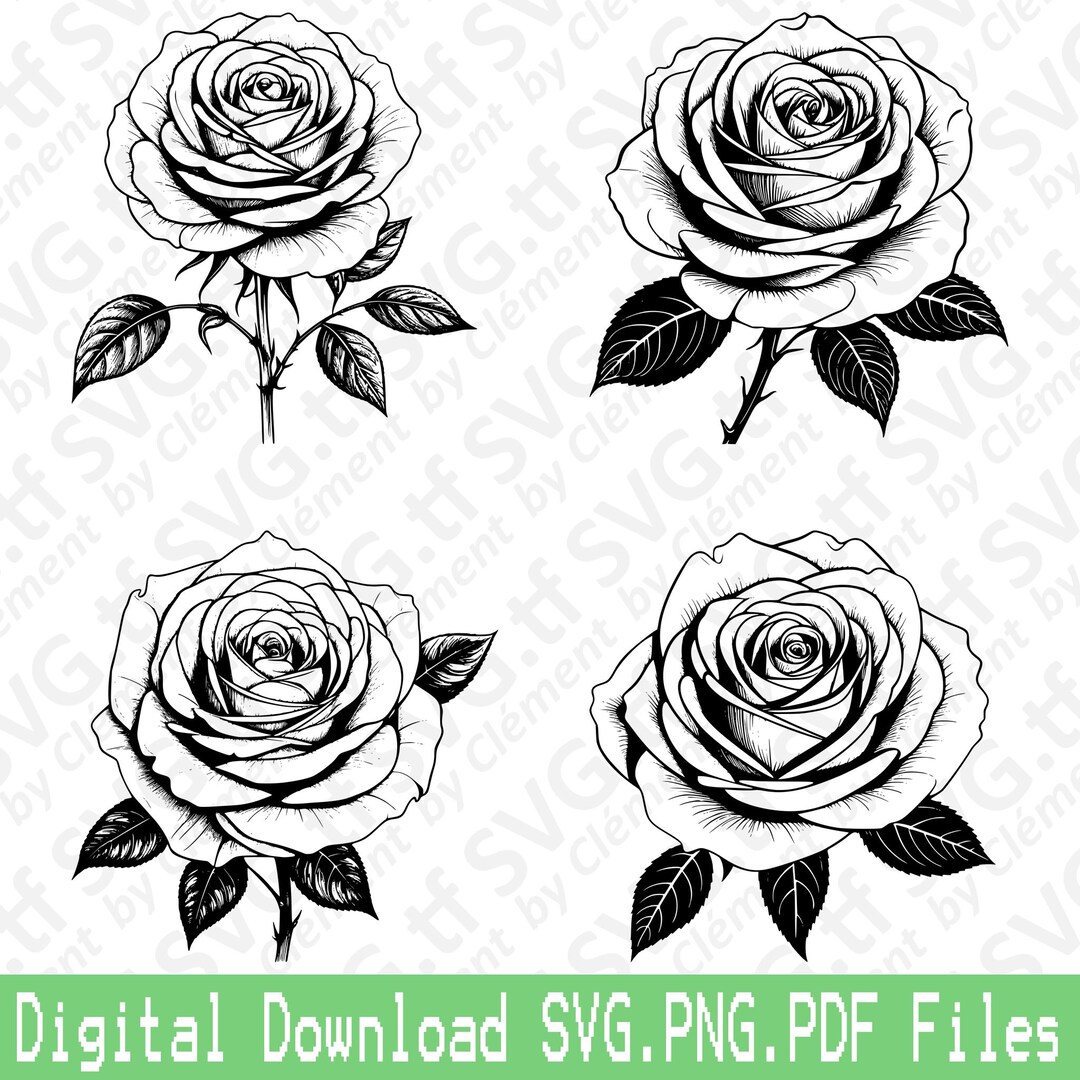 Rose Flower. SVG PNG PDF Files. Love Valentine Bunch Nature Gift Vector ...