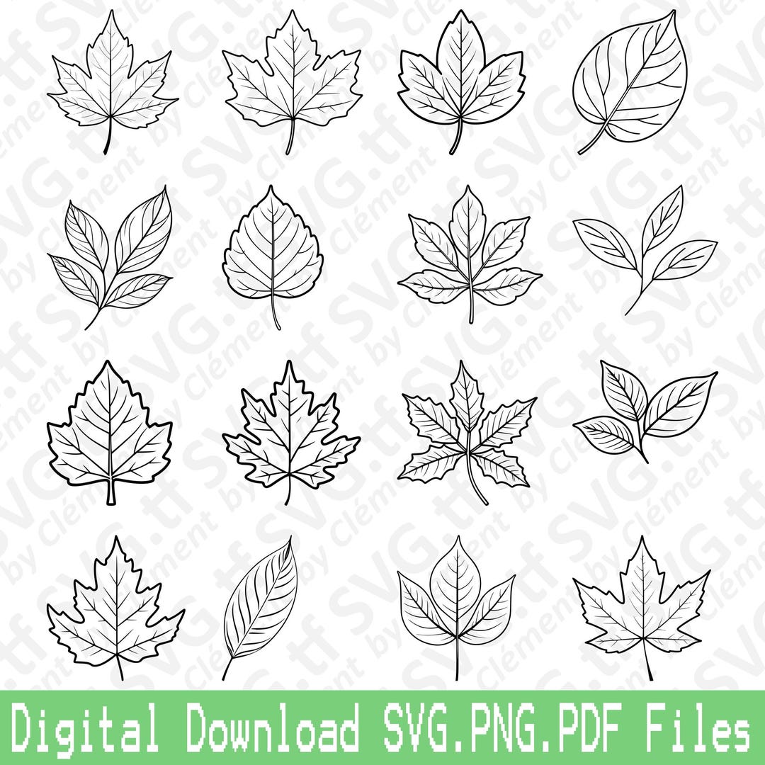 Tree Leaf. SVG PNG PDF Files. Olive Oak Mapple Fall Autumn Nature ...
