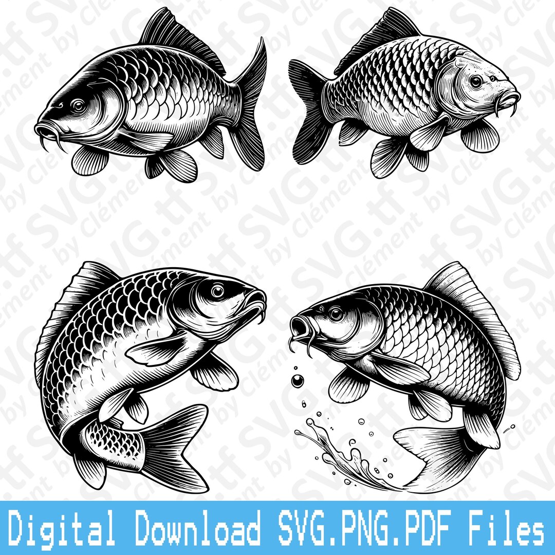 Carp Fish. SVG PNG PDF Files. Jumping River Pond Lake Animal Vector ...