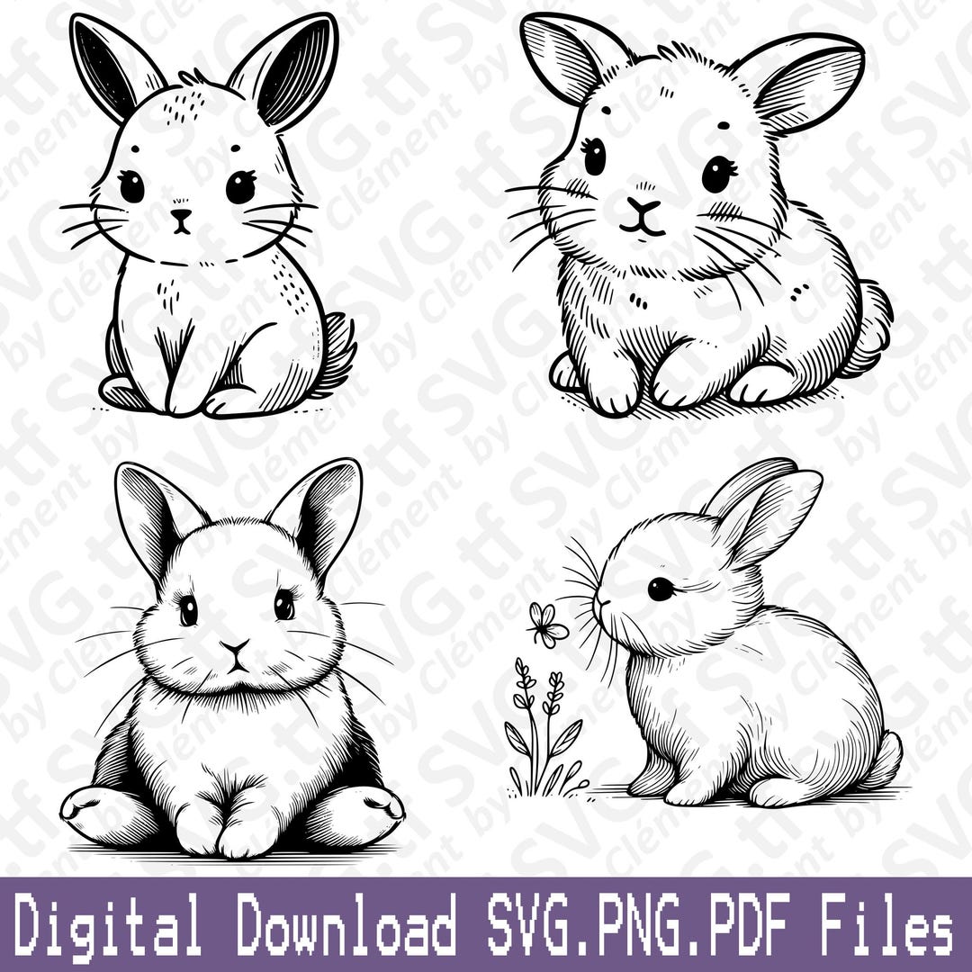 Cute Baby Bunny. SVG PNG PDF Files. Rabbit Baby Shower Animal Birthday ...