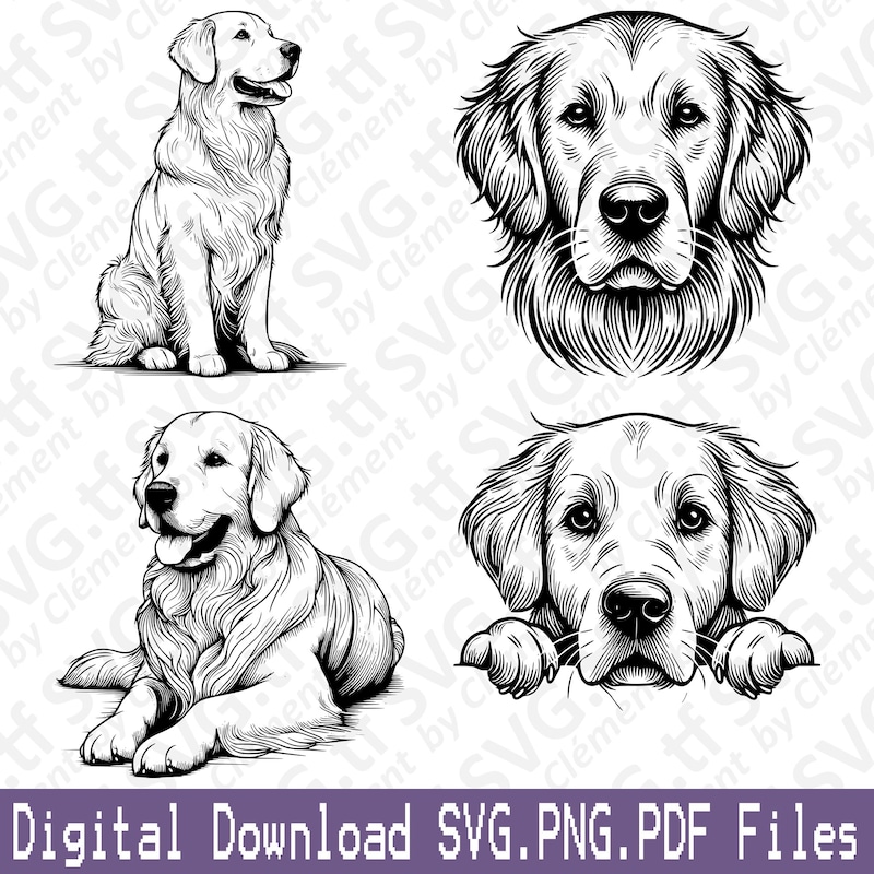 Golden Retriever Svg - Etsy