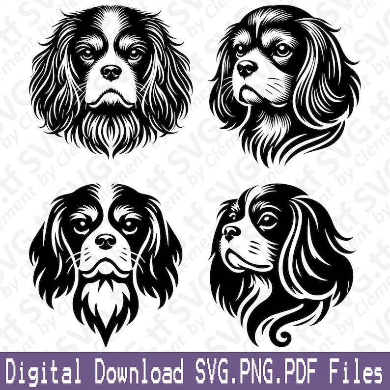 Cavalier King Charles Spaniel Head. SVG PNG PDF Files. Dog Sitting ...