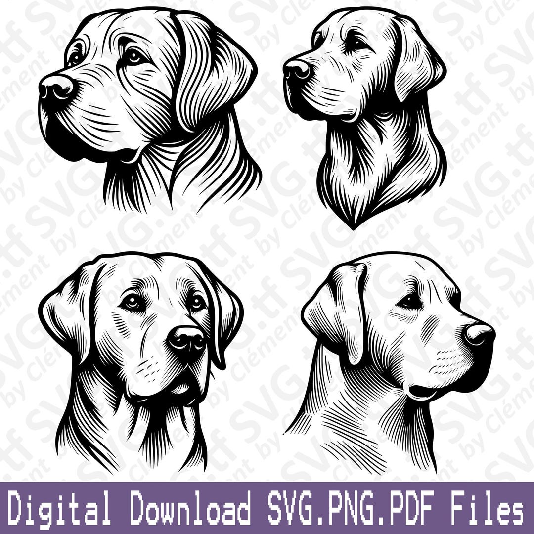 Labrador Retriever Head. SVG PNG PDF Files. Cute Dog Animal Hiding ...