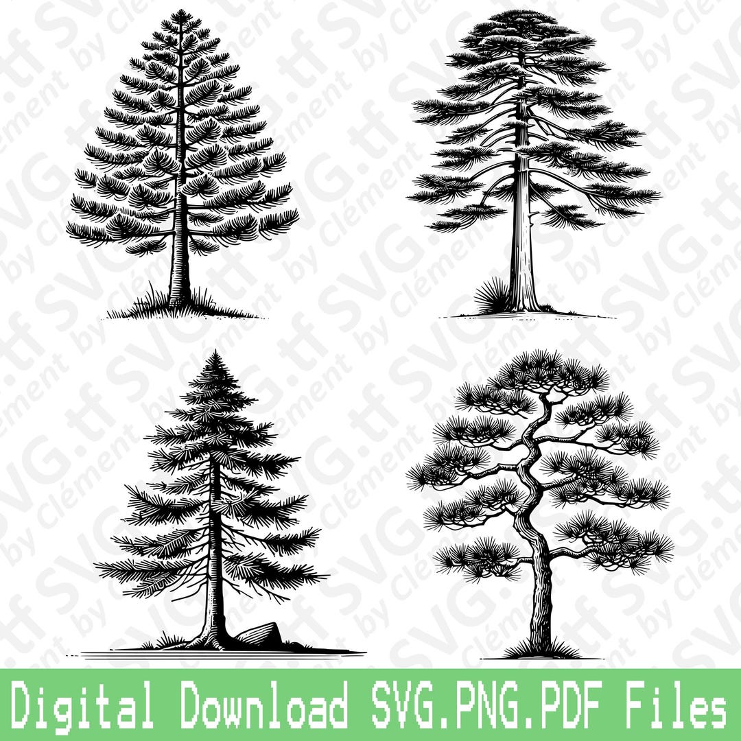 Pine Tree. SVG PNG PDF Files. Forest Garden Nature Maritime Monterey ...