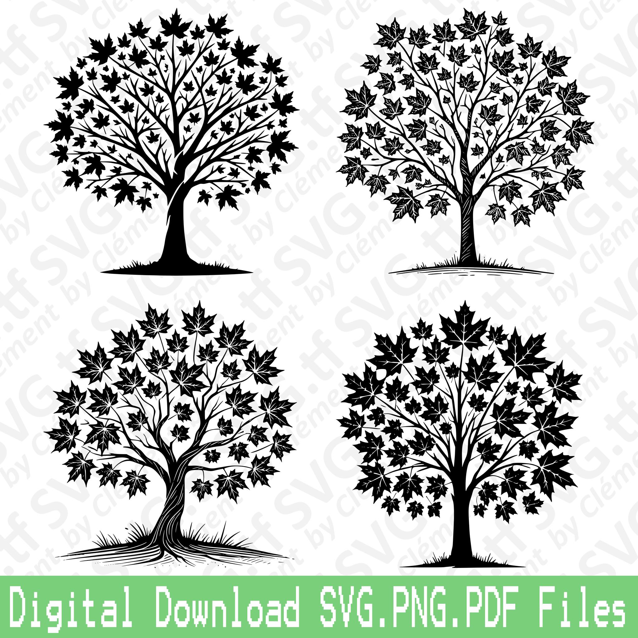 Mapple Tree. SVG PNG PDF Files. Garden Nature Forest Canada Leaf Vector ...