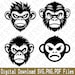 Cool Funky Monkey Clipart Vector Graphic Svg Png Jpg Eps Colorful Chimp ...