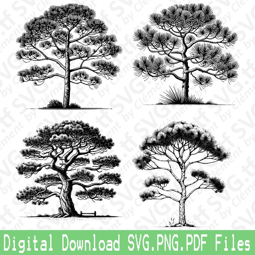 Maritime Pine Tree. SVG PNG PDF Files. Forest Garden Nature Monterey ...