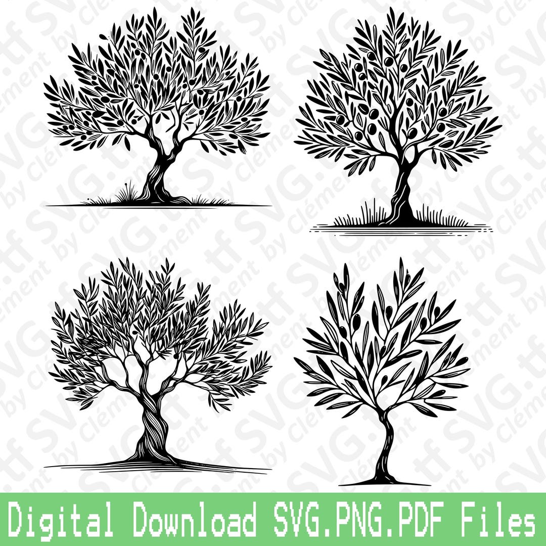 Olive Tree. SVG PNG PDF Files. Mediterranean Garden Nature Vector ...