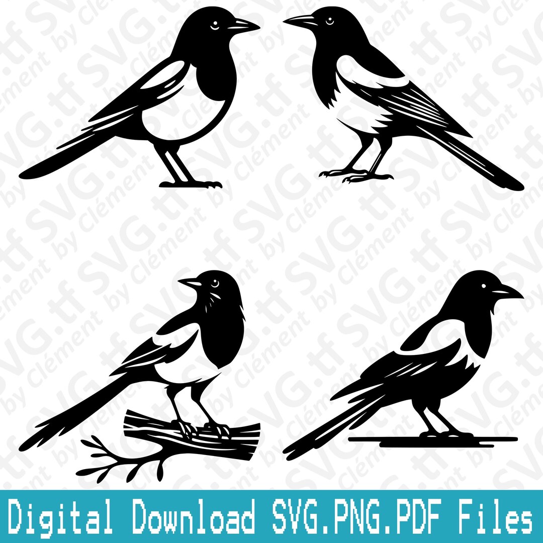 Magpie. SVG PNG PDF Files. Bird Garden Tree Branch Wild Vector Clipart ...