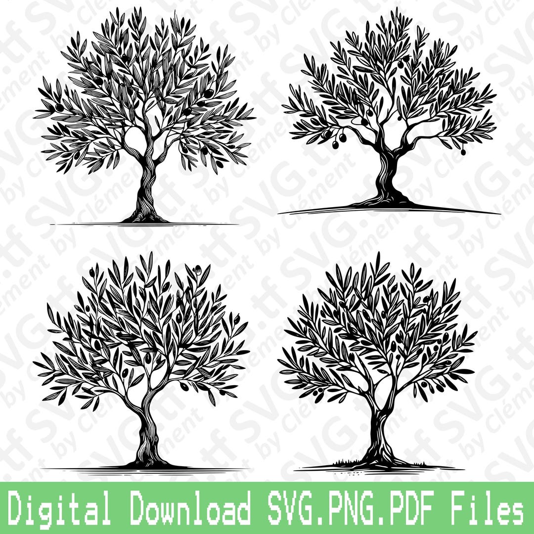Olive Tree. SVG PNG PDF Files. Mediterranean Garden Nature Vector ...