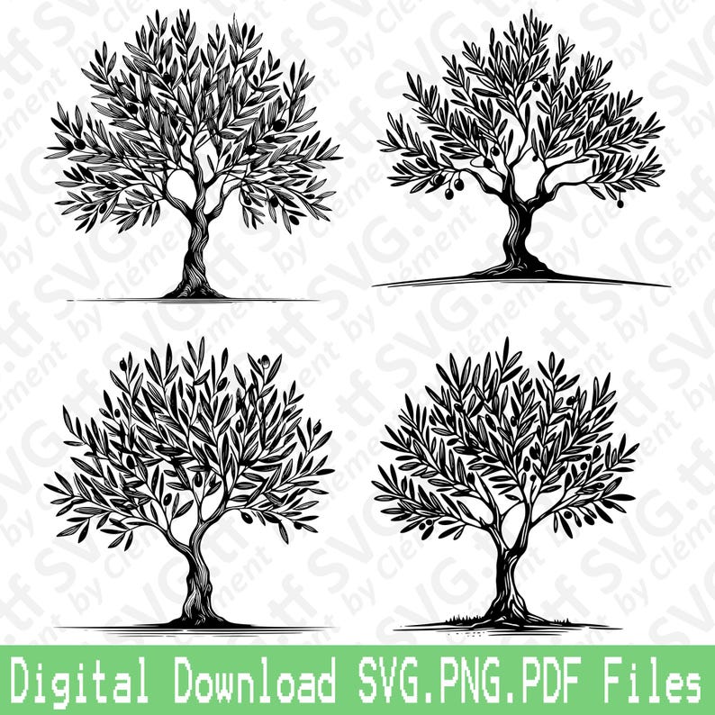 Olive Tree. SVG PNG PDF Files. Mediterranean Garden Nature Vector ...