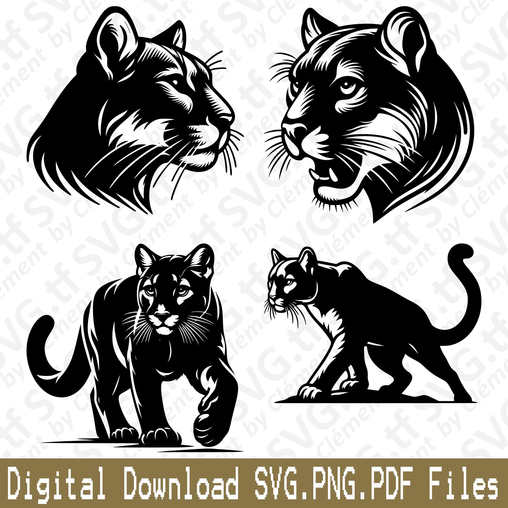 Cougar. SVG PNG PDF Files. Roaring Walking Hunting Wild Animal Emblem ...