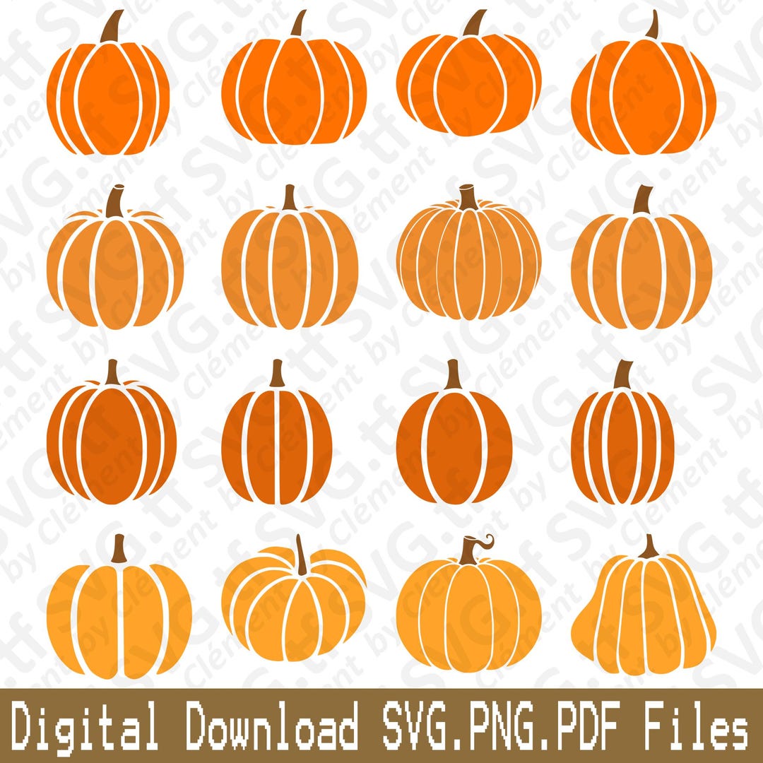 Pumpkin. SVG PNG PDF Files. Fall Autumn Thanksgiving Halloween Vector ...