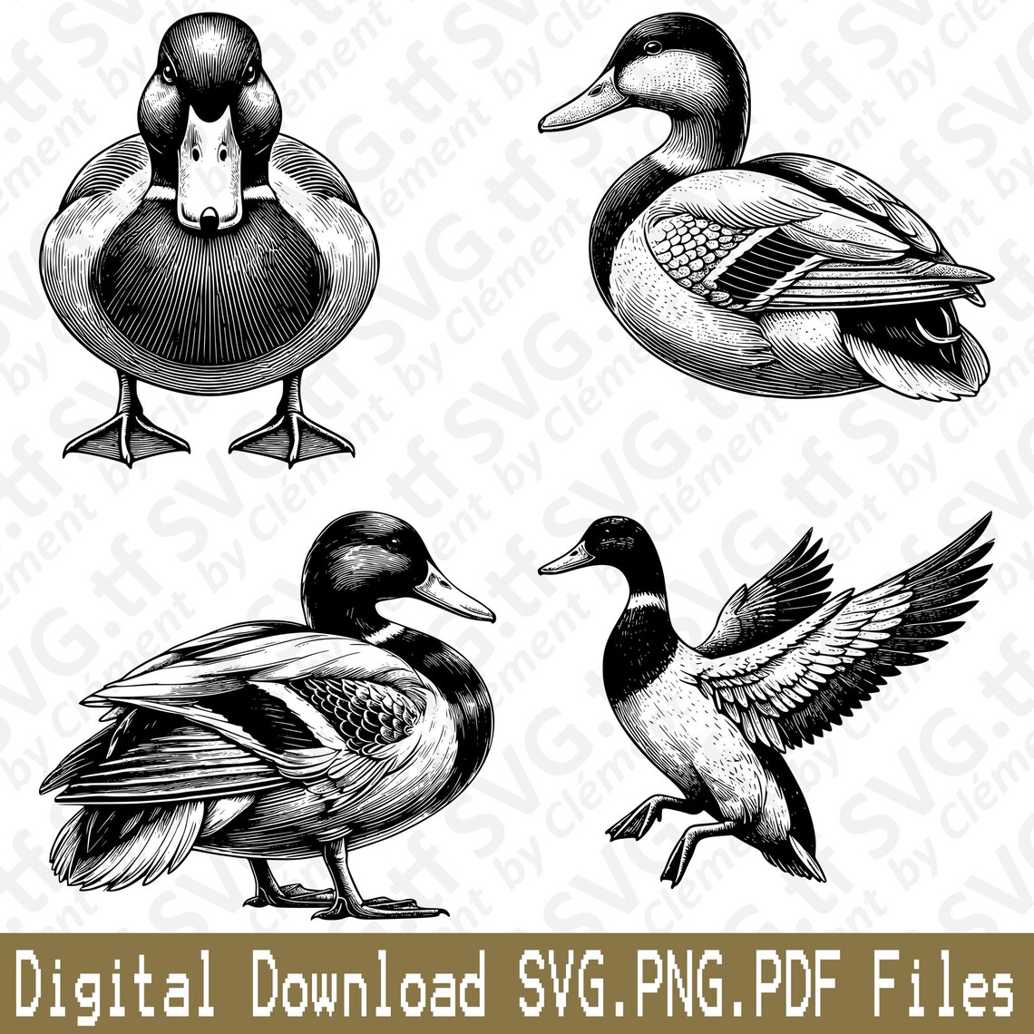 Mallard Duck. SVG PNG PDF Files. Flying Walking Lying Bird Lake River ...