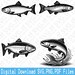 Salmon Fish. SVG PNG PDF Files. Jumping River Lake Ocean Animal Vector ...