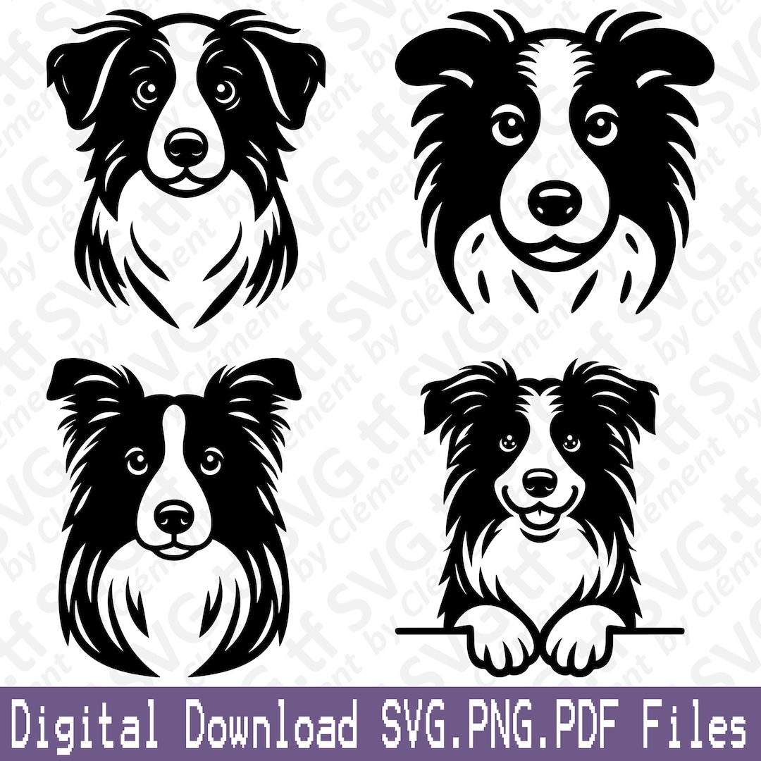 Border Collie Head. SVG PNG PDF Files. Cute Dog Animal Vector Clipart ...