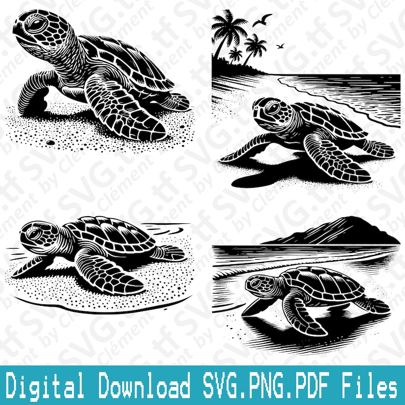 Turtle in the Bay - Etsy