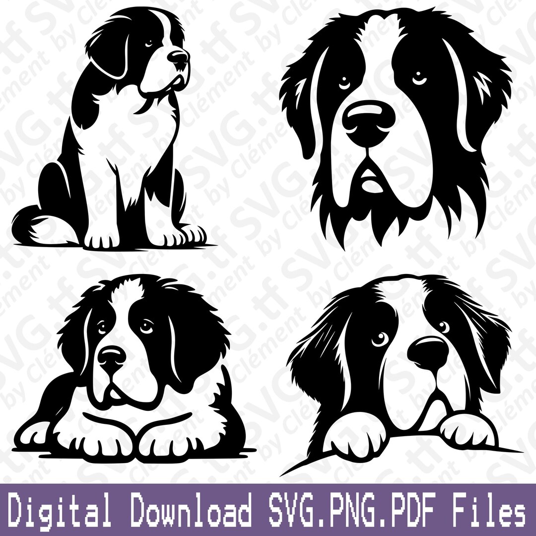 Saint Bernard Dog. SVG PNG PDF Files. Cute Sitting Lying Peeking Head ...