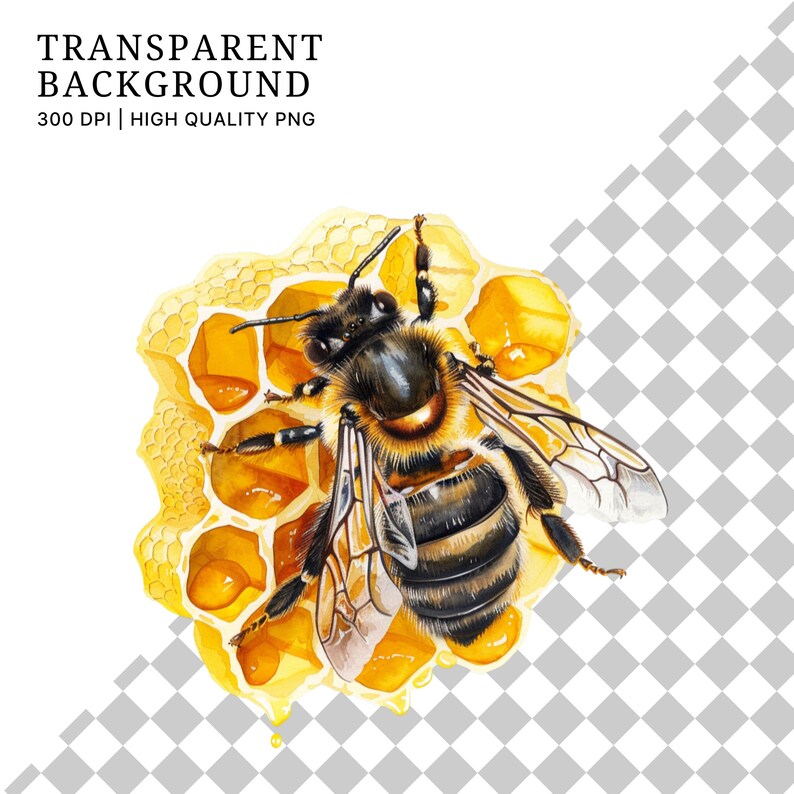 Bee Life Clipart, Cute Honey Bee PNG, Watercolor Insect Illustration ...