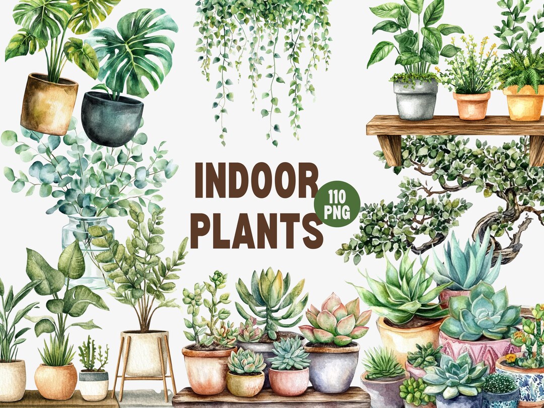 Indoor Plant Clipart, Watercolor Plant Clipart, Houseplant Clipart ...