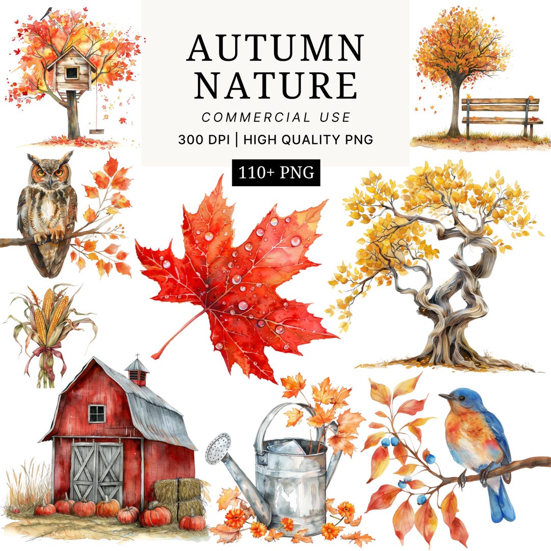 Autumn Nature Clipart: Fall Landscape Illustrations (digital Download ...