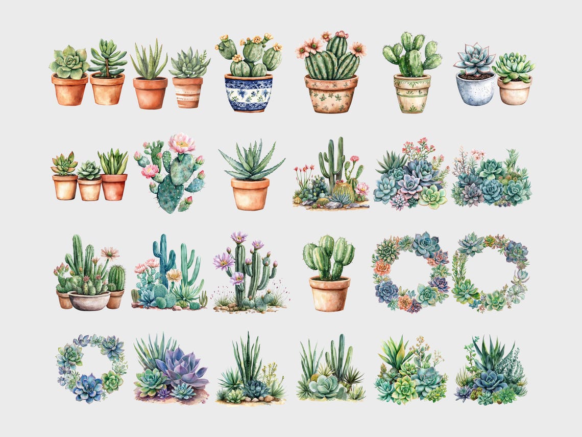 Watercolor Cactus Clipart, Succulent Plant Clipart, Vintage Cactus ...