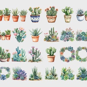 Watercolor Cactus Clipart: Succulent Plant Art (digital Download) - Etsy