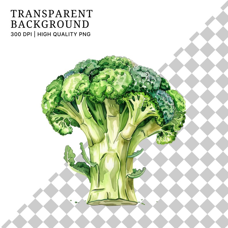 Broccoli Clipart, Cute Vegetable PNG, Green Broccoli Digital Download ...