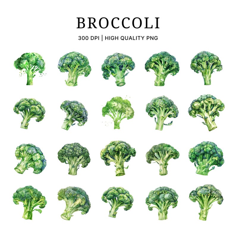 Broccoli Clipart, Cute Vegetable PNG, Green Broccoli Digital Download ...