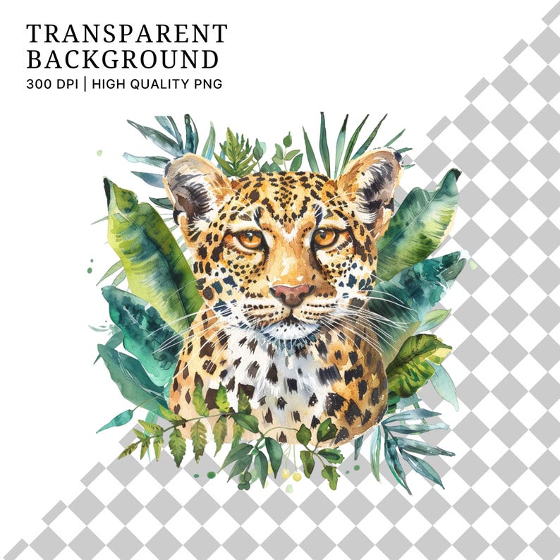 Rainforest Animal Clipart: Jungle Wildlife PNG, Tropical Art (digital ...