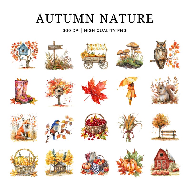 Autumn Nature Clipart: Fall Landscape Illustrations (digital Download ...