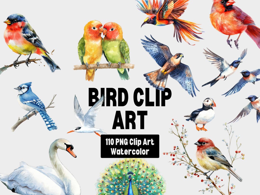 Watercolor Birds Clipart, Spring Bird Illustration, Digital Woodland ...