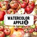 Watercolor Apple Clipart: Autumn Harvest Fruit (digital Download) - Etsy