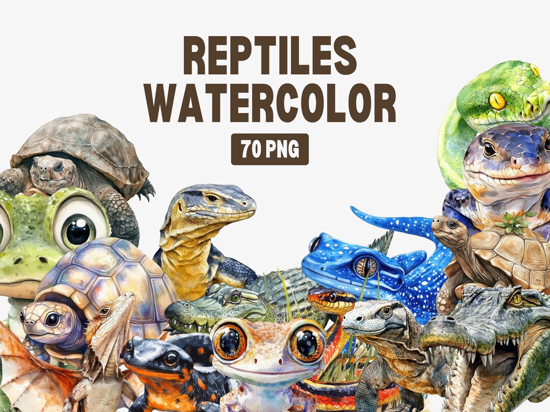 Cute Reptile Boho Clipart | Watercolor Reptiles Clipart | Nursery ...