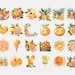 Orange Summer Clipart, Watercolor Summer PNG, Citrus Fruit Clipart ...