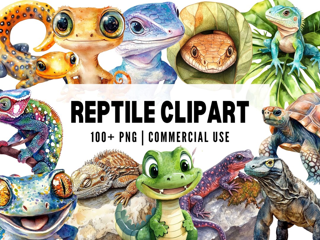 Reptile Clipart, Watercolor Reptile PNG, Lizard Illustration, Snake ...