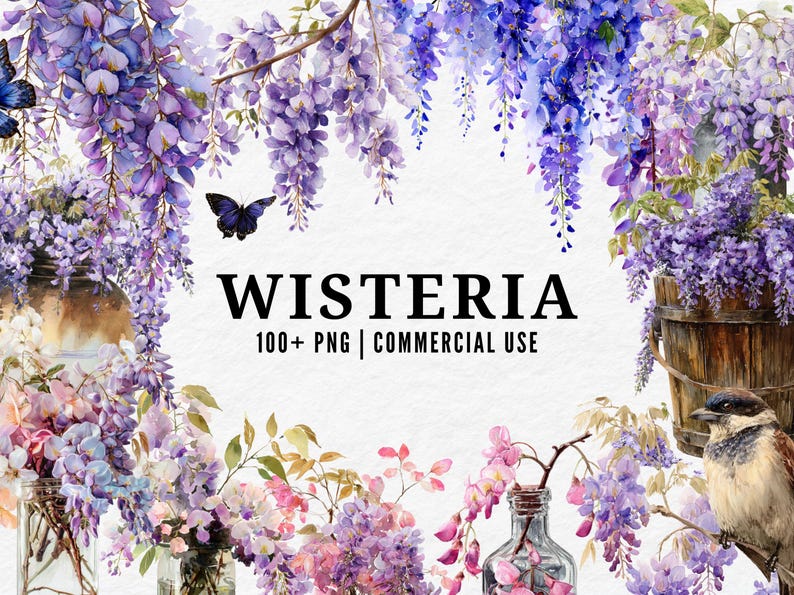 Wisteria Clipart, Purple Flower PNG, Watercolor Bloom Illustration ...