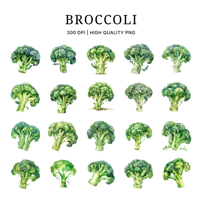 Broccoli Clipart, Cute Vegetable PNG, Green Broccoli Digital Download ...